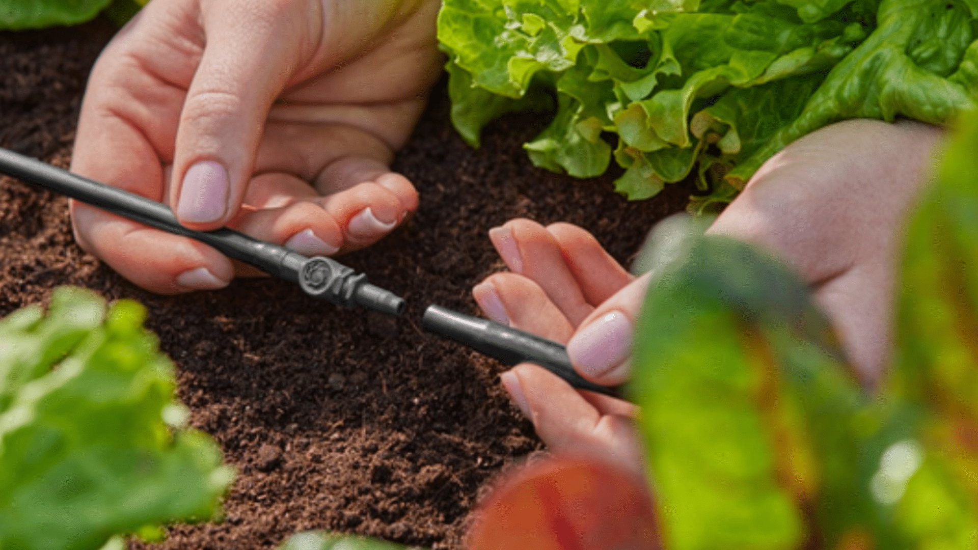 Guía Completa de Riego en la Huerta | Blog Falcón