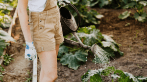 Guía Completa de Riego en la Huerta | Blog Falcón